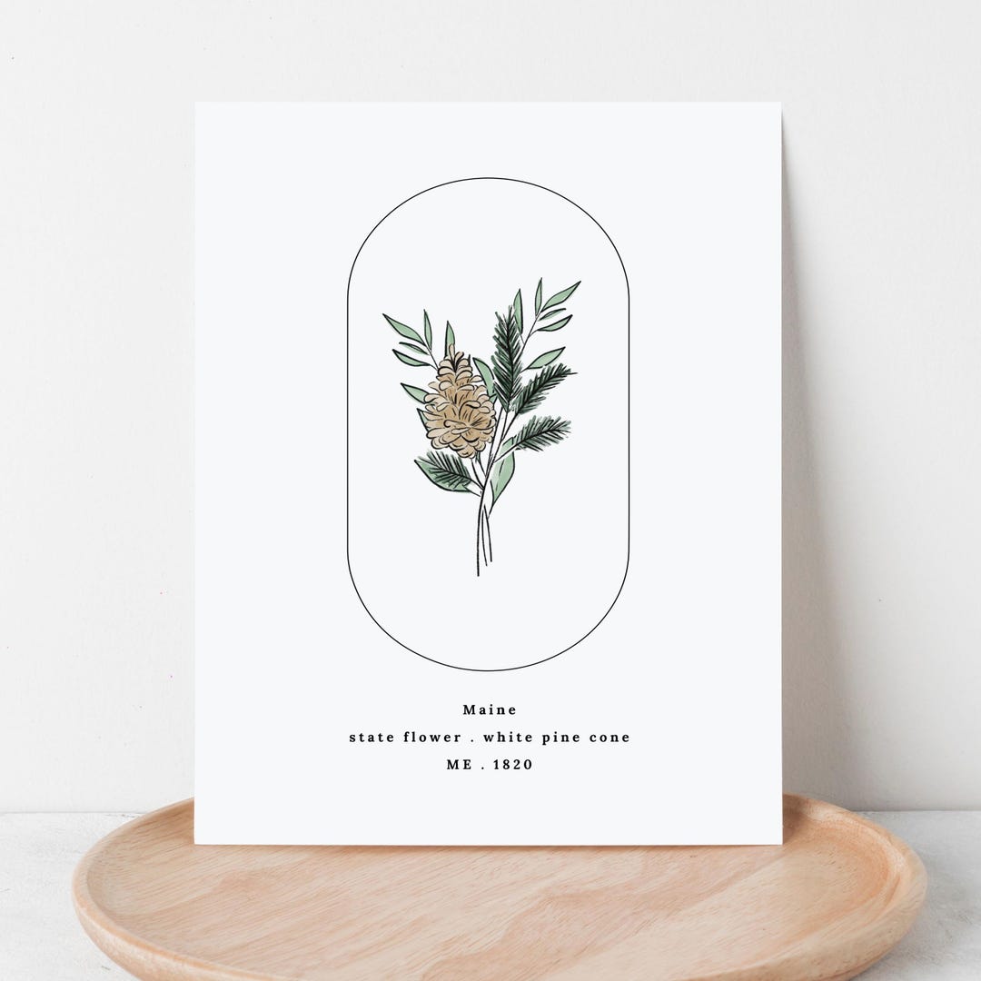 Maine State Flower Printable | White Pine Cone Watercolor Floral ...