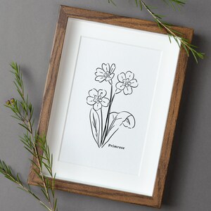Yellow Primrose Flower Illustration Printables | 4 Styles Included ...