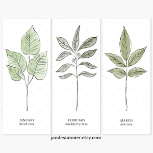 Personalized Birth Family Tree Art Print | up to 6 Names | Birth Tree ...