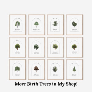 March Birth Ash Tree Printable | Sketch & Watercolor Art - Etsy