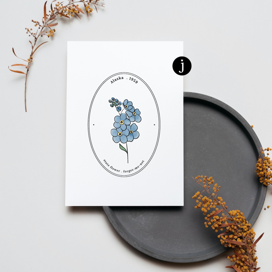 Alaska US State Flower Cameo Style | Forget Me Not Watercolor Floral ...