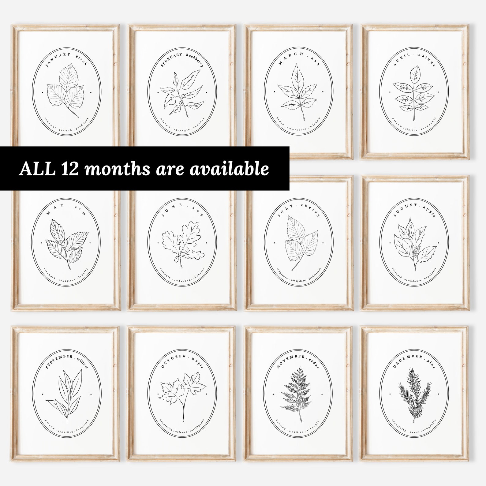 August Apple Tree Birth Wood Printable Illustrated Black and - Etsy