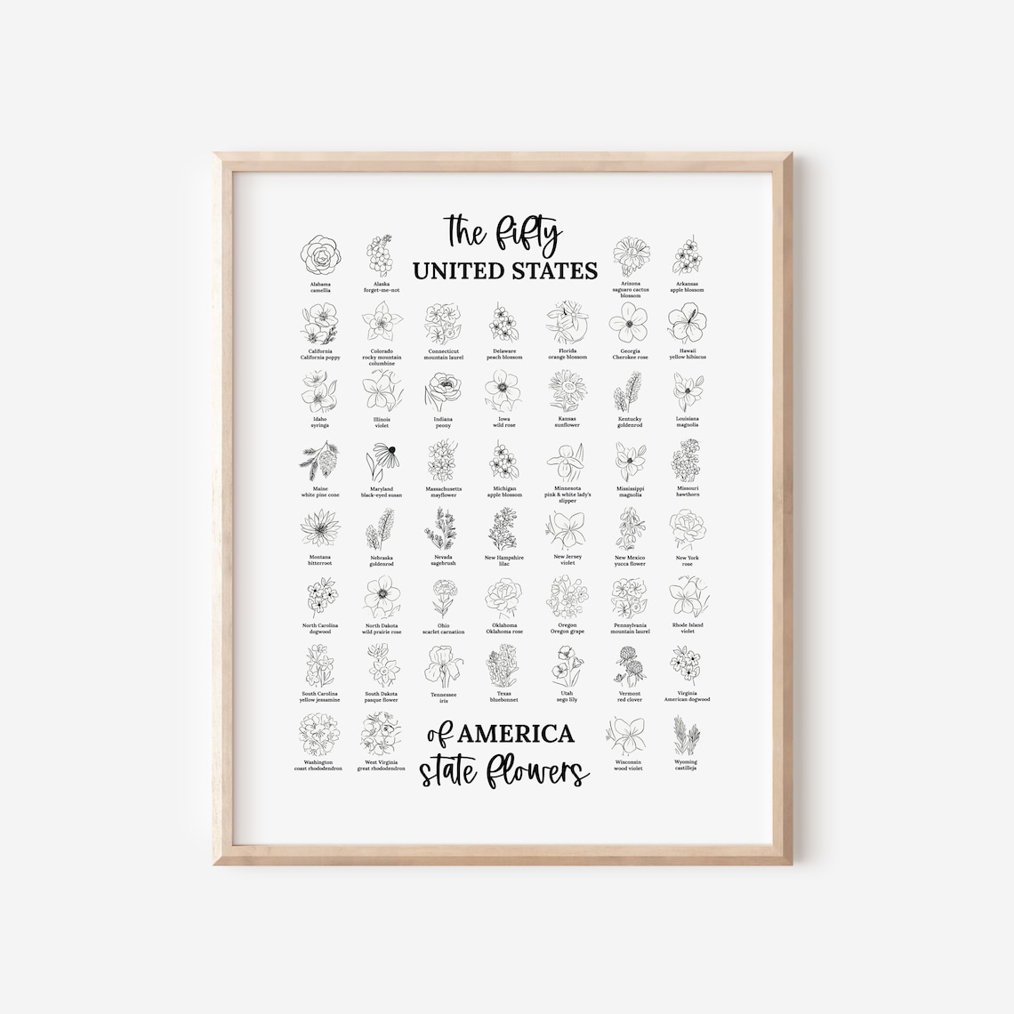 US State Flower Illustration Chart Printable United States - Etsy
