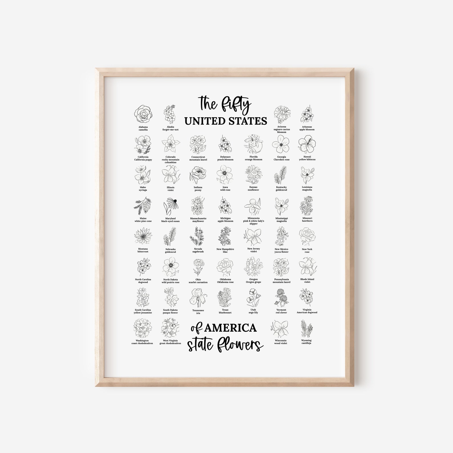 US State Flower Illustration Chart Printable United States - Etsy