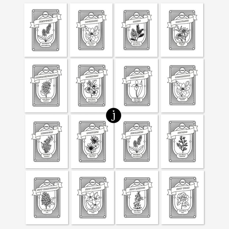 Mini US State Flowers Coloring Book 50 Pages Illustrated by Jande ...