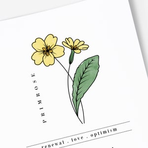 February Primrose Birth Flower Digital Art Printable | Garden Inspired ...