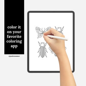 6 PK Printable Bug Coloring Pages | Print & Color | Digital Art ...