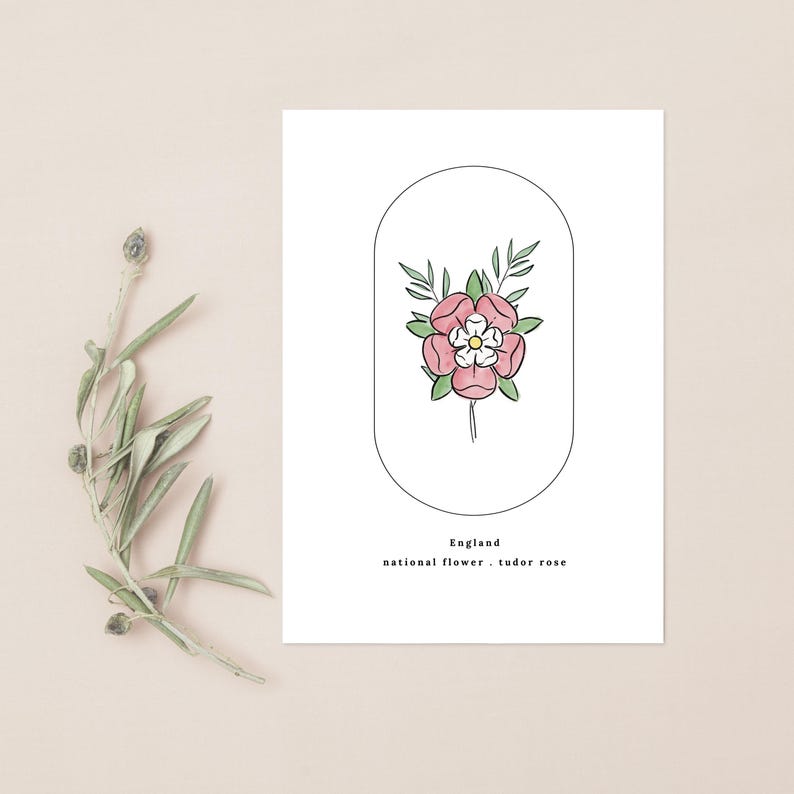 England National Flower Printable | Tudor Rose Watercolor Floral Art - Etsy
