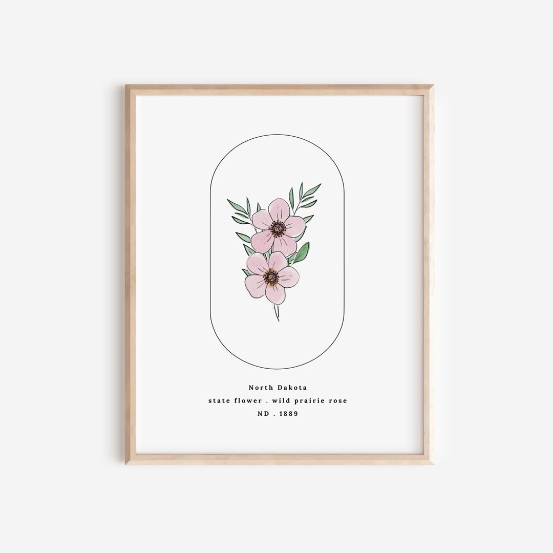 North Dakota State Flower | Wild Prairie Rose Watercolor Floral Art ...
