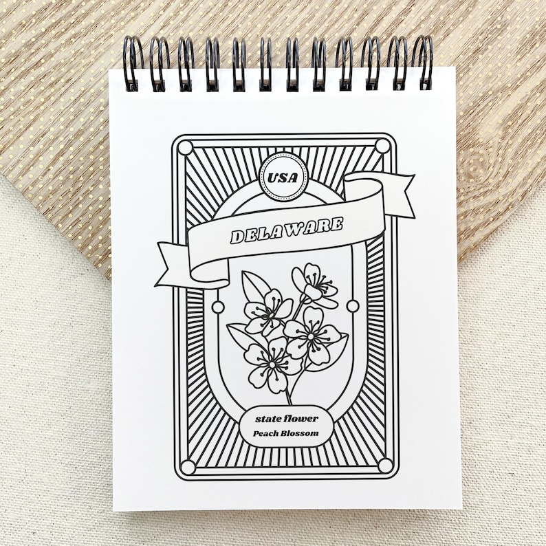 Mini US State Flowers Coloring Book 50 Pages Illustrated by Jande ...