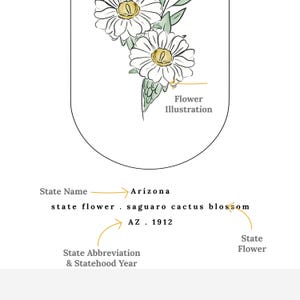 Arizona State Flower | Saguaro Cactus Blossom Watercolor Floral Art ...