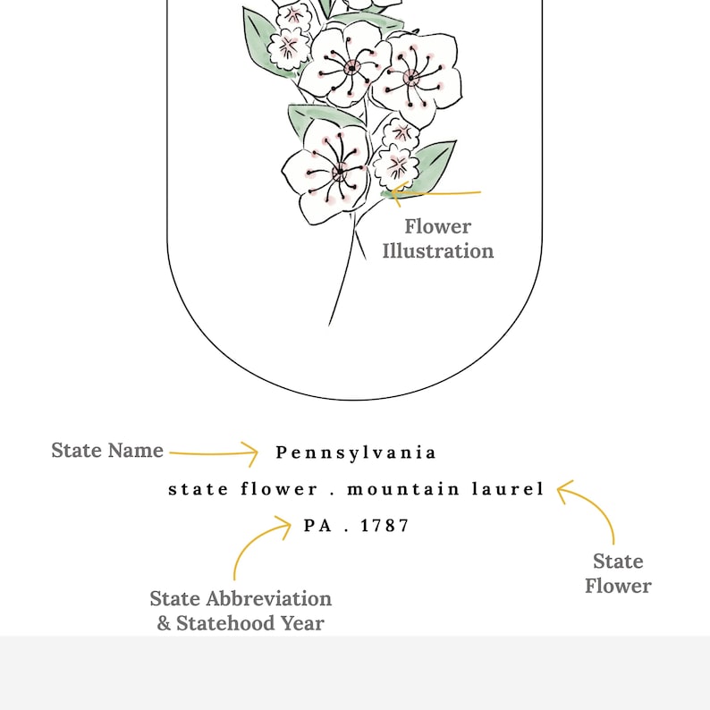 Pennsylvania State Flower | Mountain Laurel Watercolor Floral Art ...
