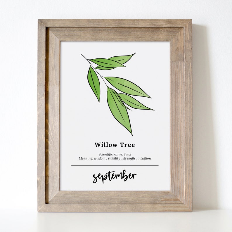 12 Month Pack Birth Tree Birth Wood Watercolor Printables - Etsy