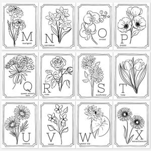Floral Alphabet Set Printable Coloring Pages | Hand Illustrated Flowers ...