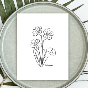 Yellow Primrose Flower Illustration Printables | 4 Styles Included ...