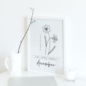 December Birth Flower 6 Pk Narcissus Holly Poinsettia | Black & White ...