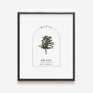 March Birth Ash Tree Printable | Sketch & Watercolor Art - Etsy