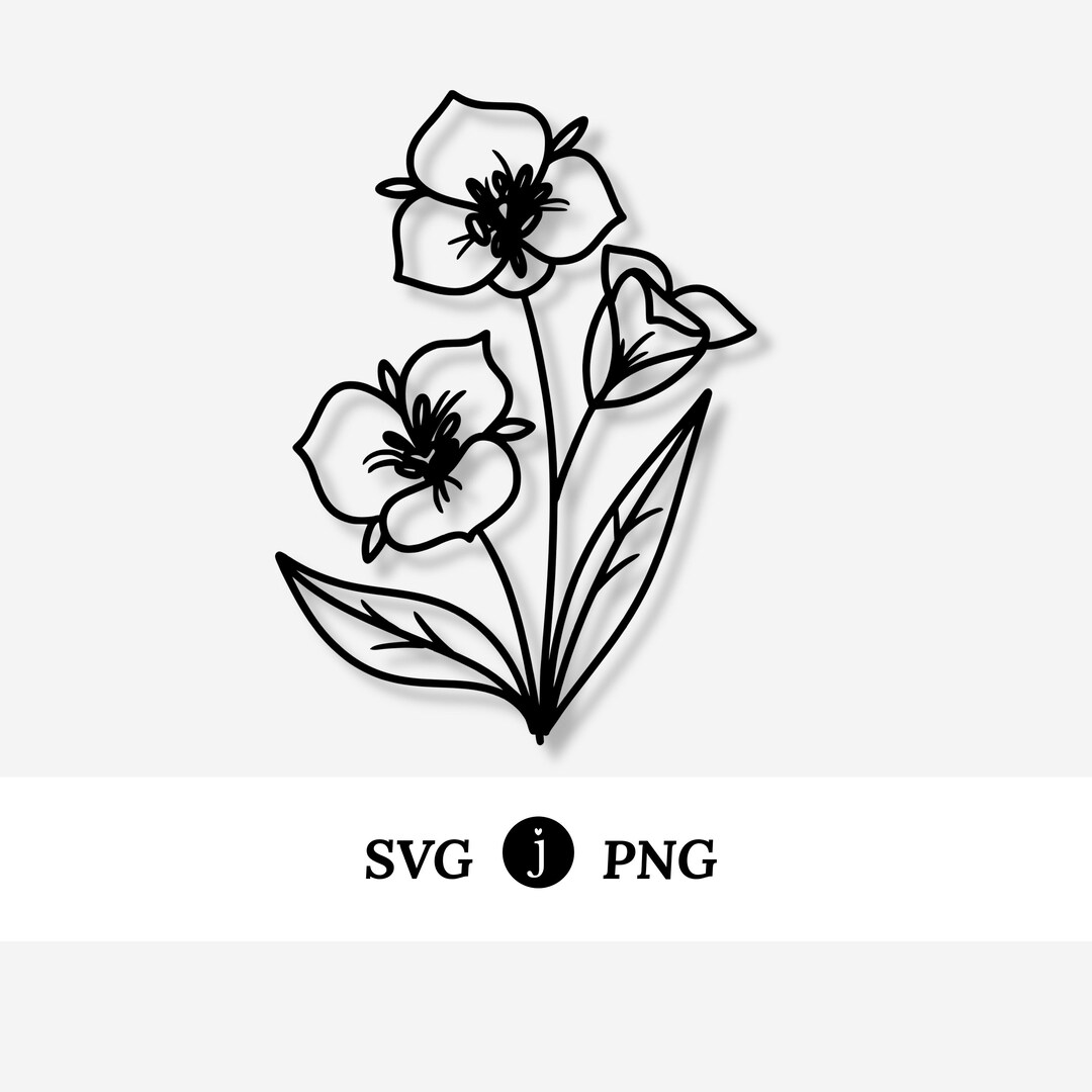 Sego Lily Flower | Illustrated Svg Png Digital Drawing Graphic | Craft ...