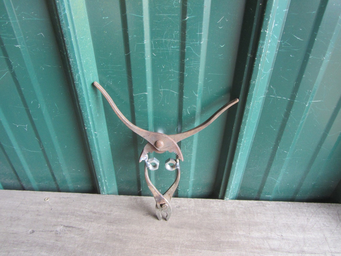 Steer Head - Etsy