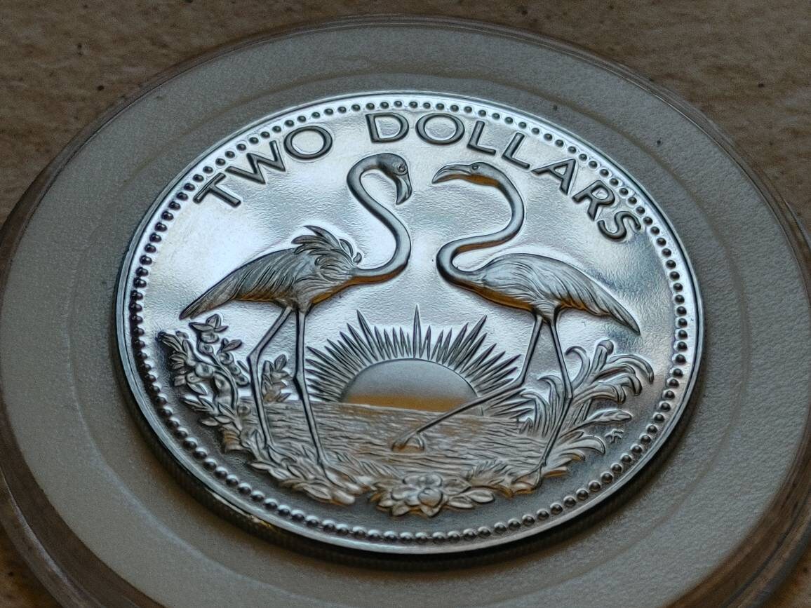 Rare 1981 Bahamas, Two Flamingos, Sunset, Two Dollar Coin With New ...