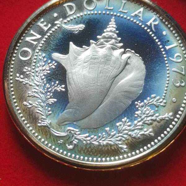 Bahamian Coin Chain - Etsy