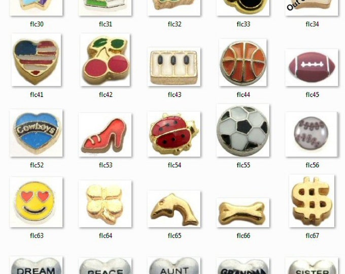 Assorted Lots of Floating Charms for Living Memory Lockets, Silver Gold ...