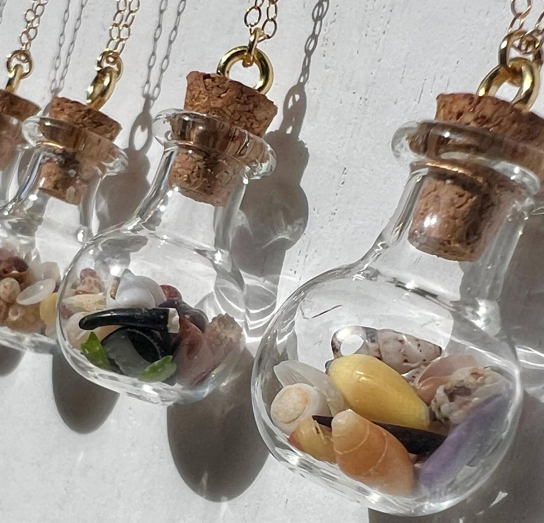 Hawaiian Seashell Necklace • 14k Gold, 18" Chain • Handpicked in Hawaii ...