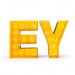 EY Marquee Letters - Etsy
