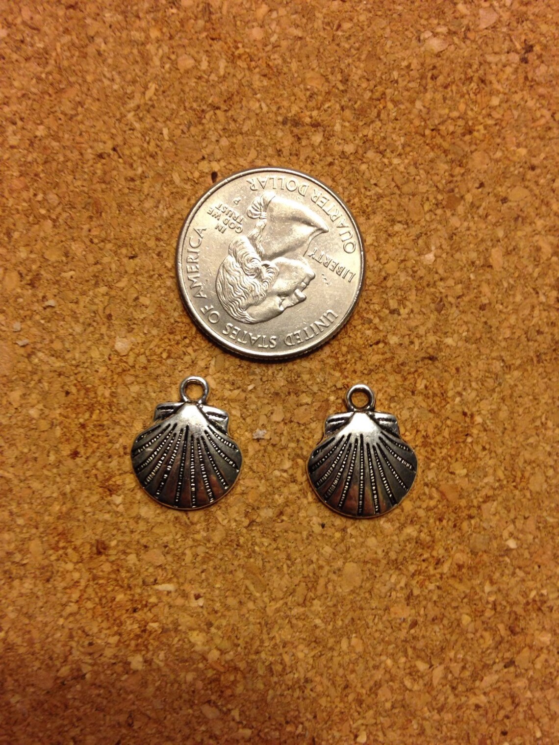 Scallop shell symbol of the Camino pilgrimage to Santiago de | Etsy