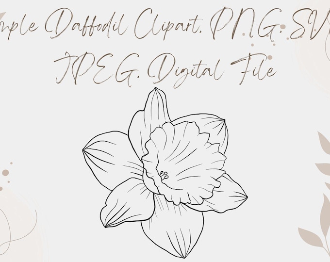 Daffodil Line Art PNG Clipart, Floral Outline Illustration, Botanical ...