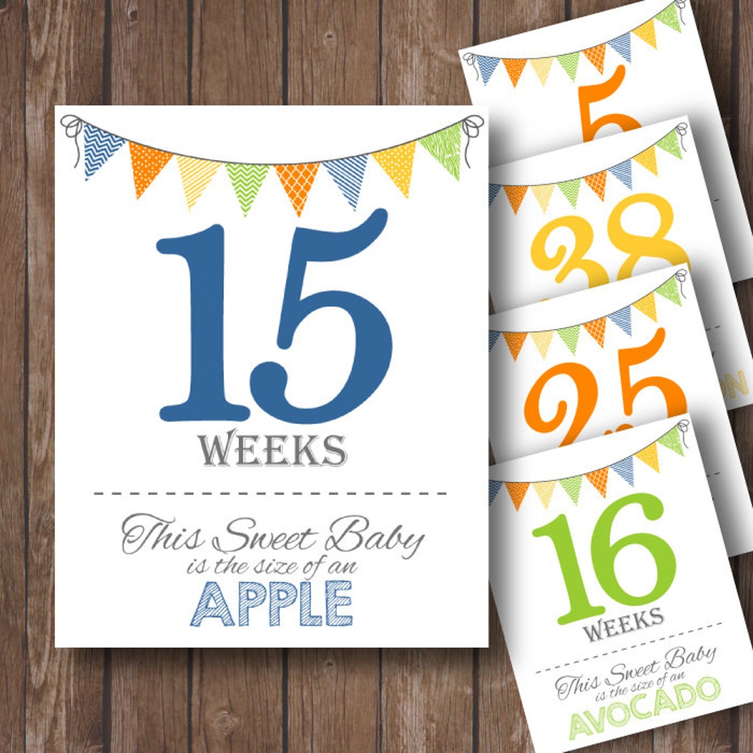 Weekly Pregnancy Posters, 37 DIGITAL Posters PERSONALIZE IT 8x10. White ...