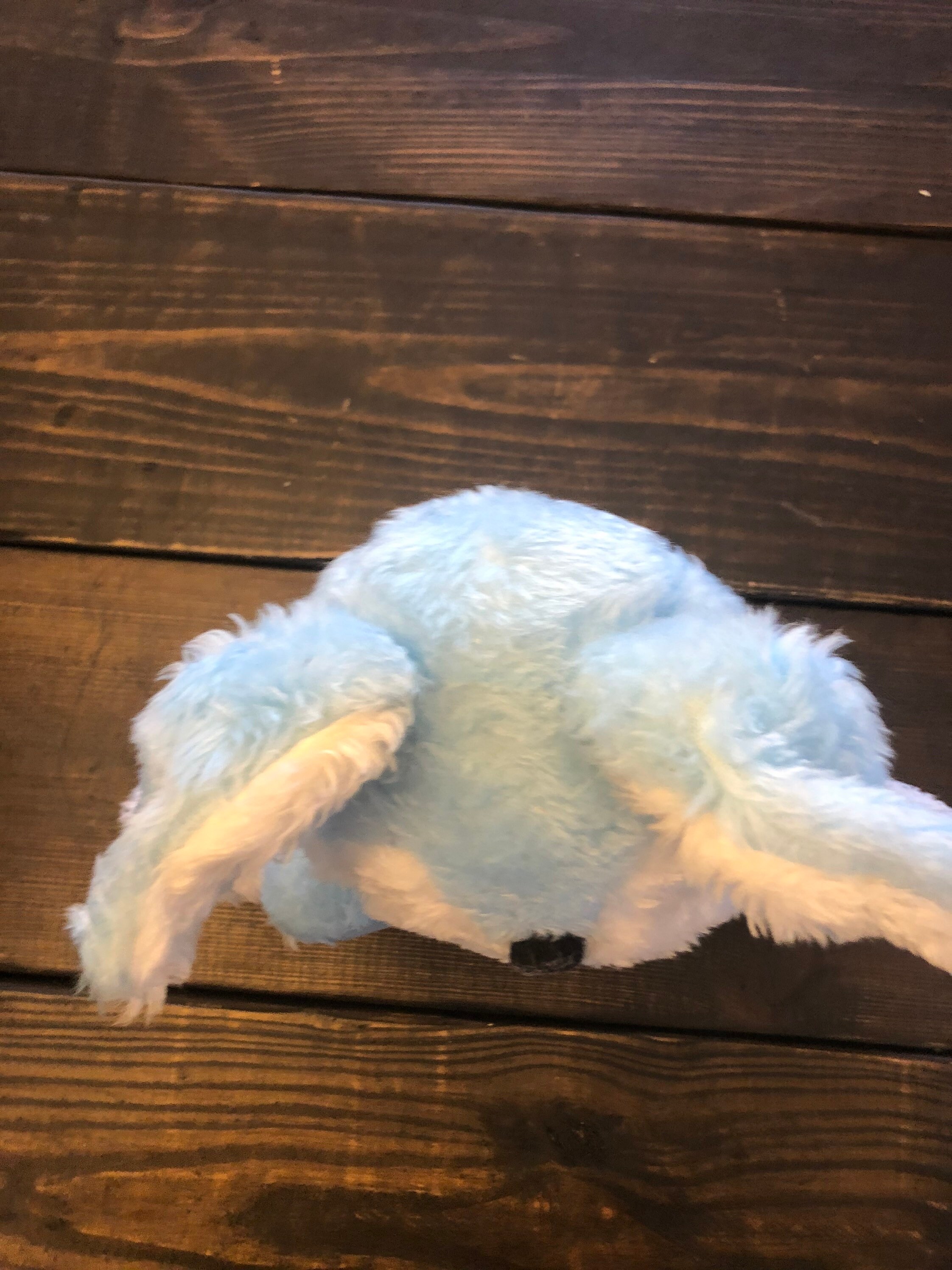 Vintage Large Easter Plush Blue and White Bunny Stuffed Animal | Etsy