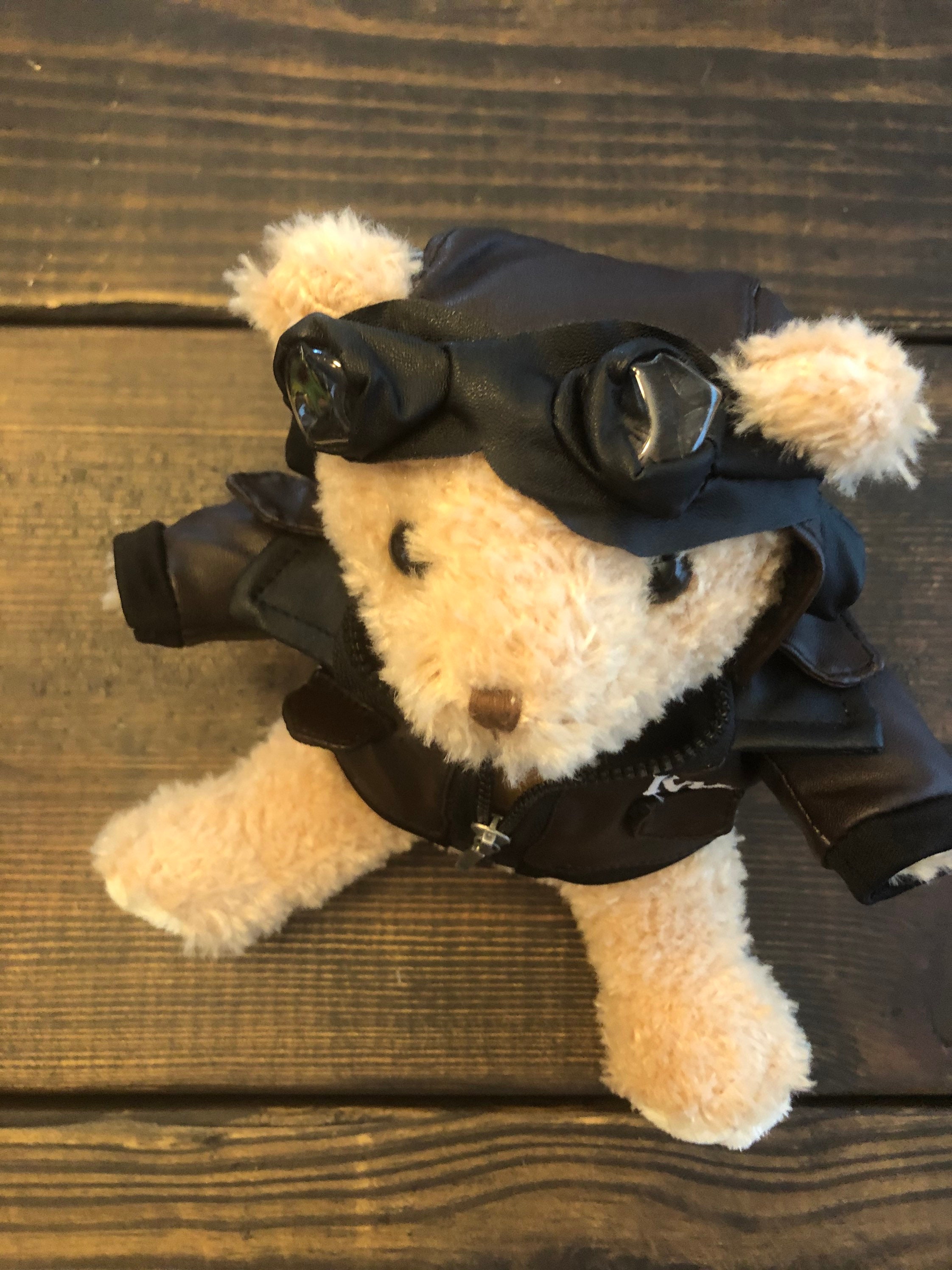 Airlines Pilot Flight Jacket and Goggles Teddy Bear Rare Korean Air ...
