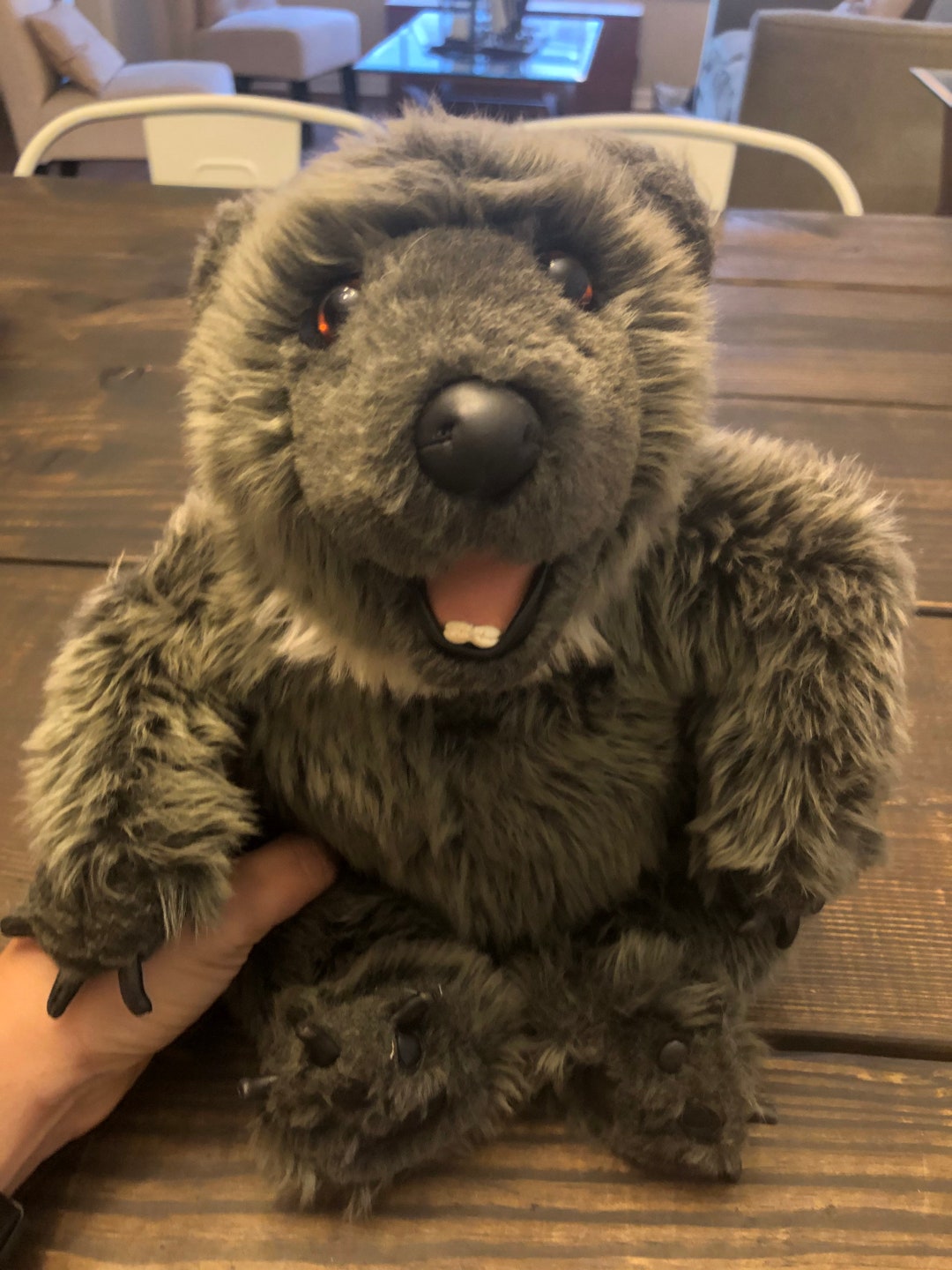 Discovery Channel Plush Grizzly Bear Wild Babies Kody Cub - Etsy