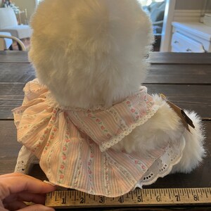 Vintage Raikes Bear Sally the Sweet Sunday Collection 17007 5th Edition ...