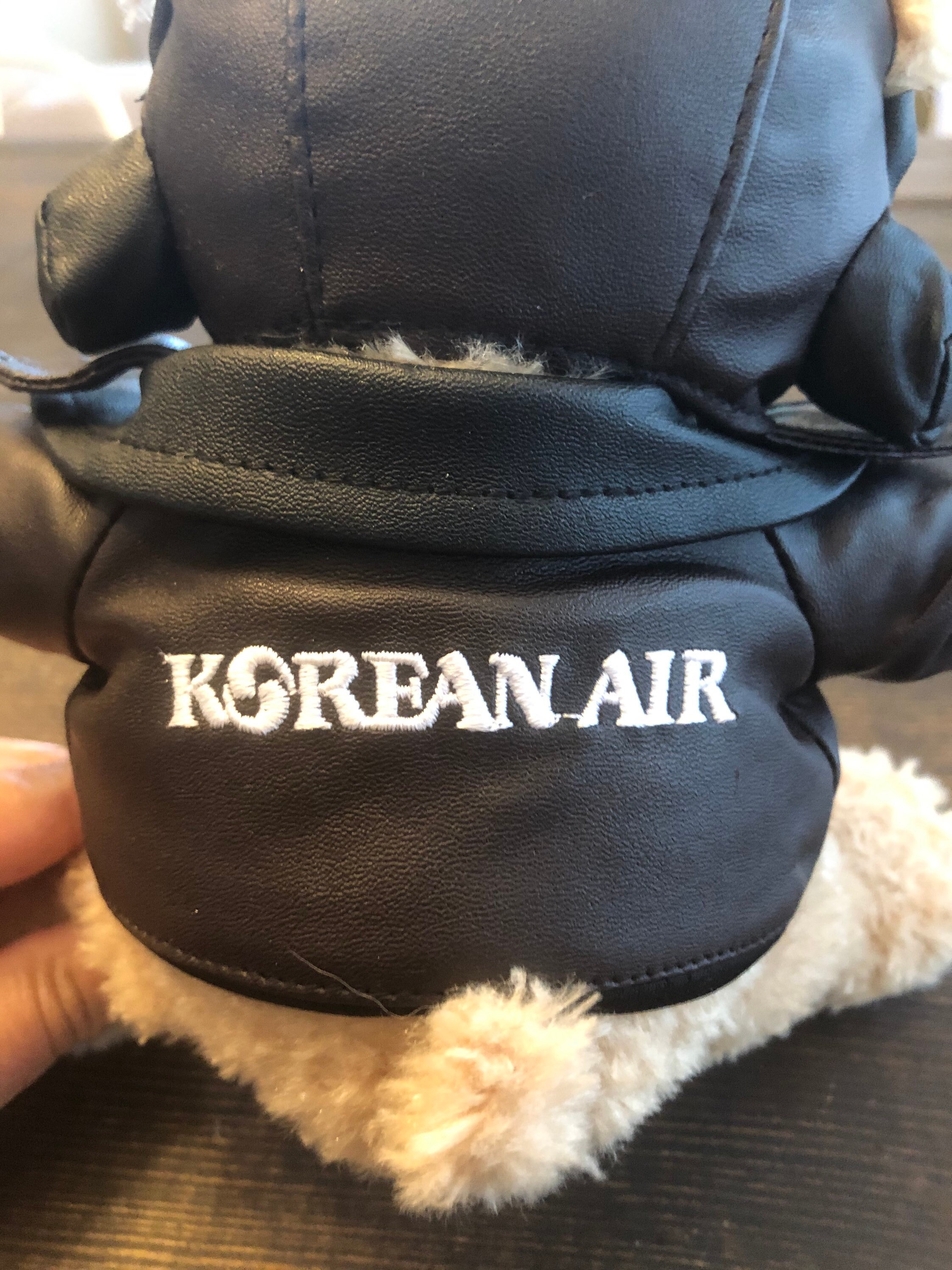 Airlines Pilot Flight Jacket and Goggles Teddy Bear Rare Korean Air ...
