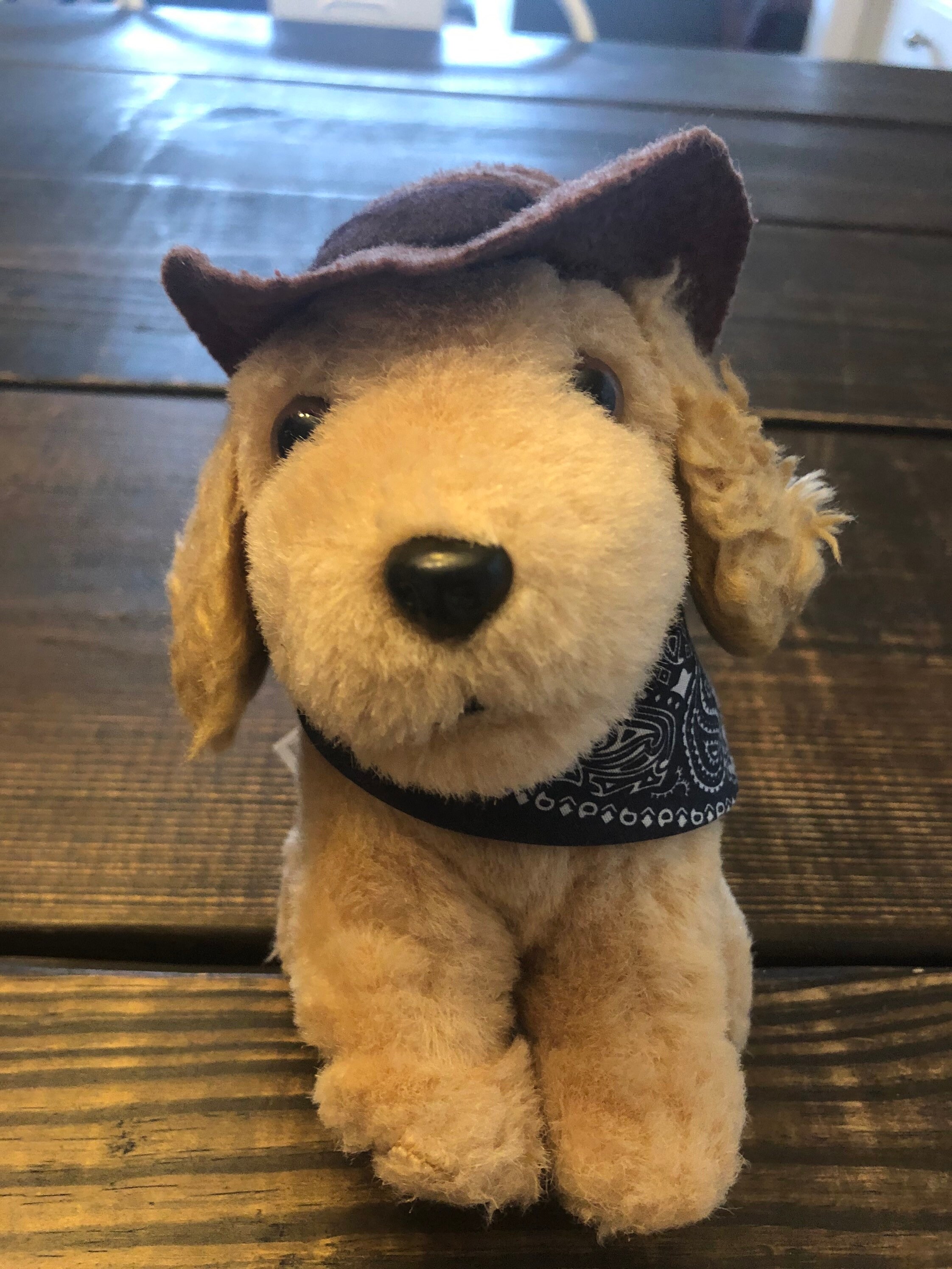 Treasure Buddies Mudbud