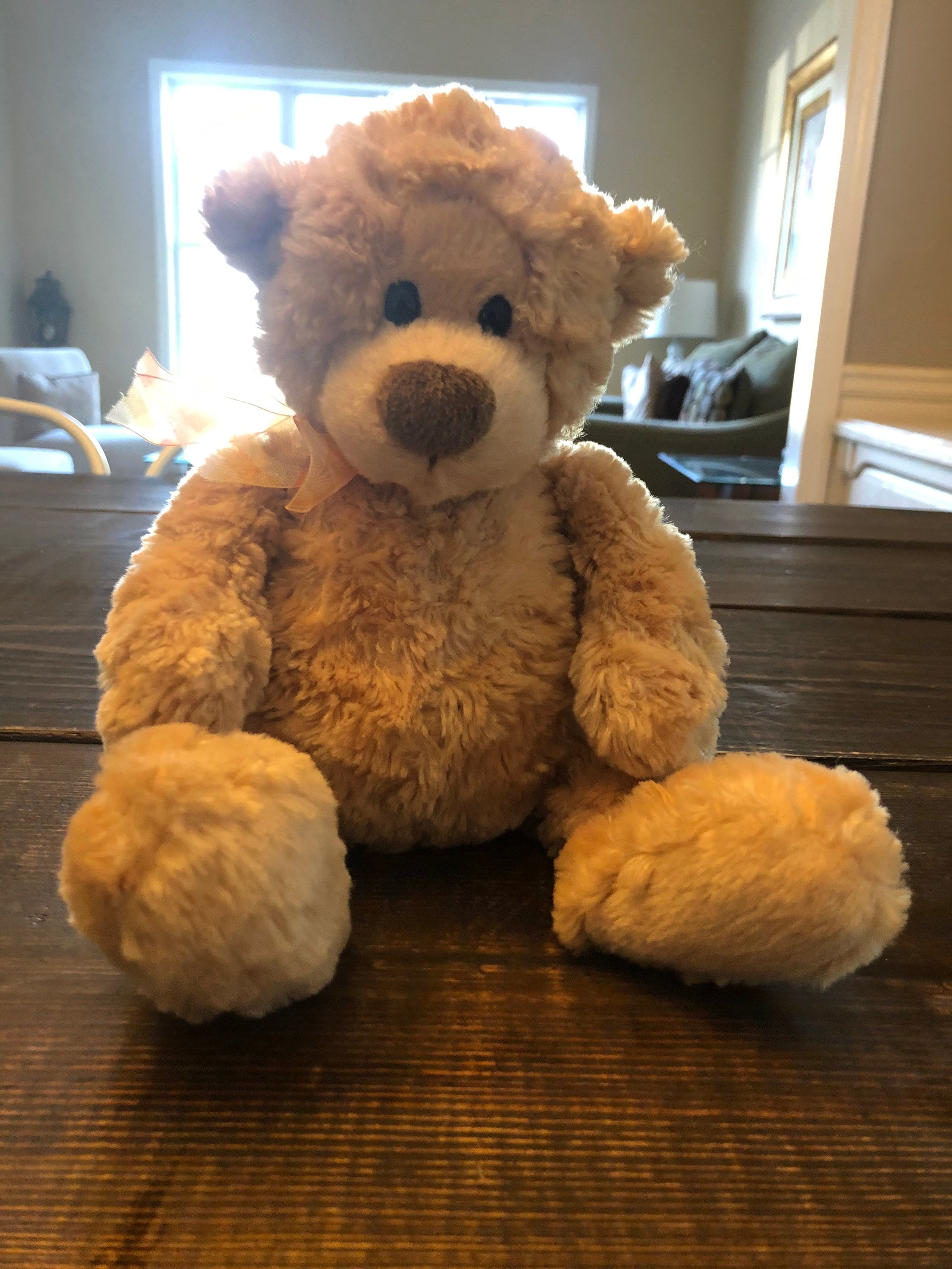 Toys & Games Toys Gund Manni Extra Soft Silky Teddy Bear Plush Stuffed ...