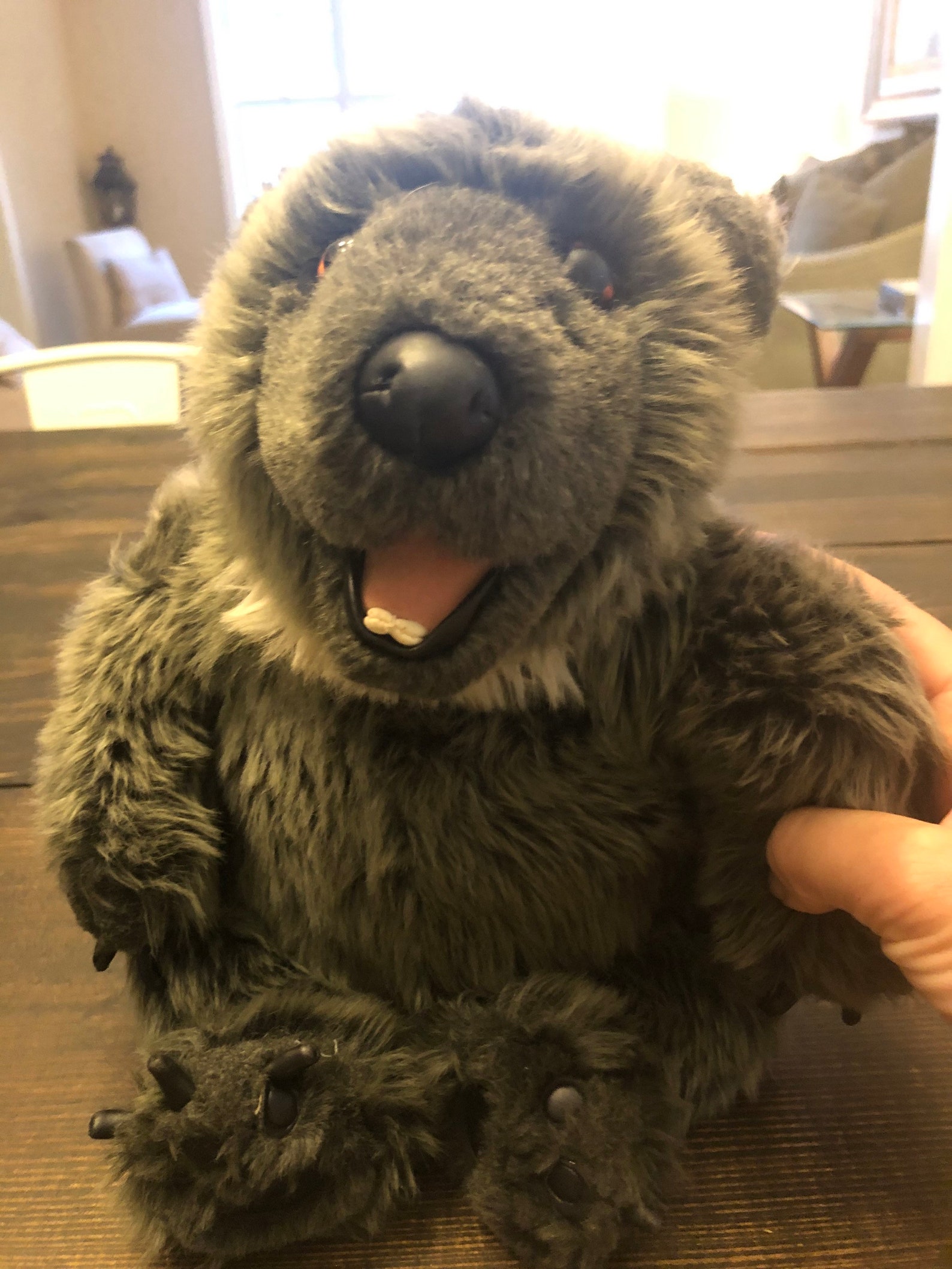 Discovery Channel plush Grizzly Bear Wild Babies Kody cub | Etsy