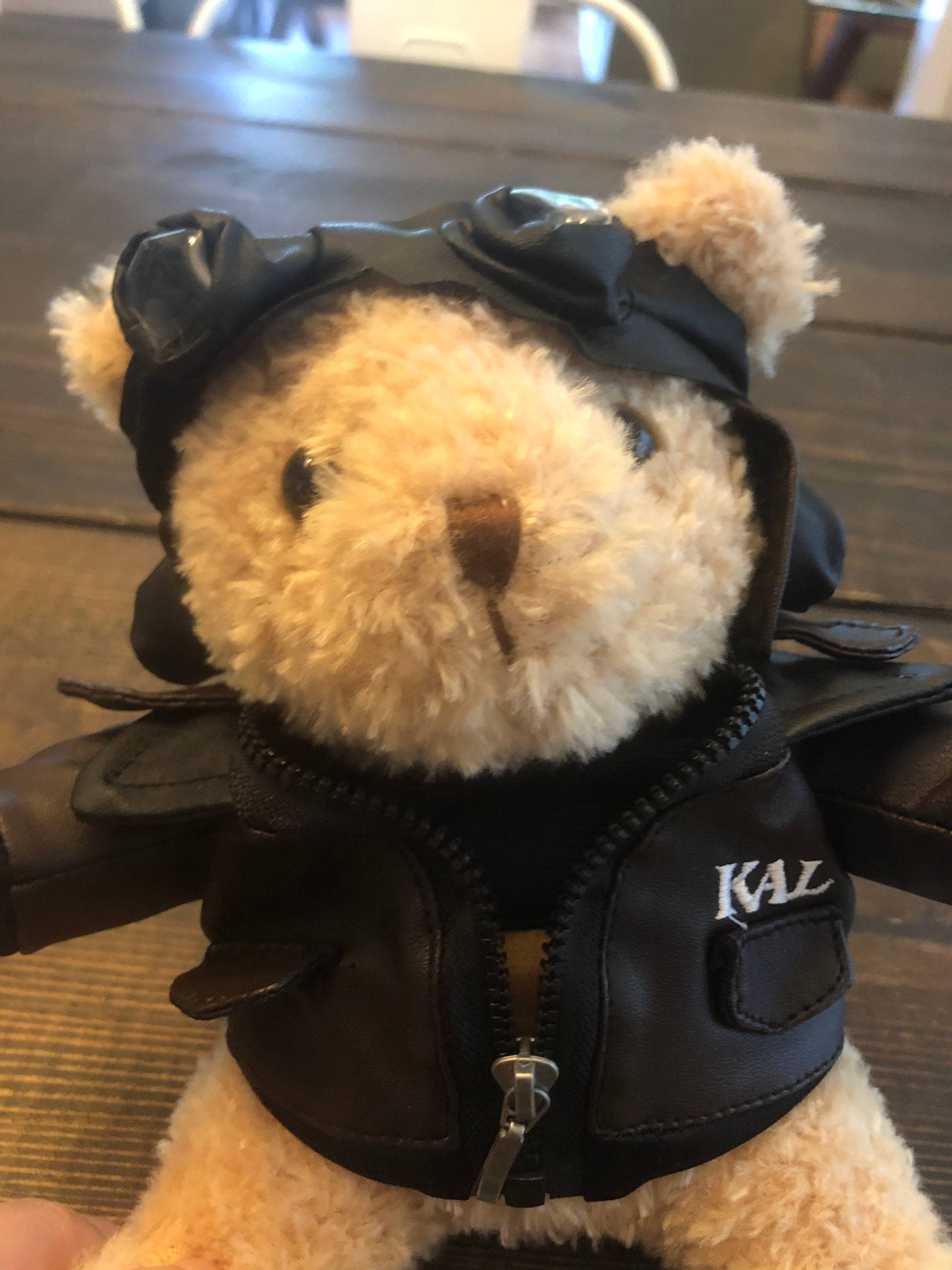 Airlines Pilot Flight Jacket and Goggles Teddy Bear Rare Korean Air ...
