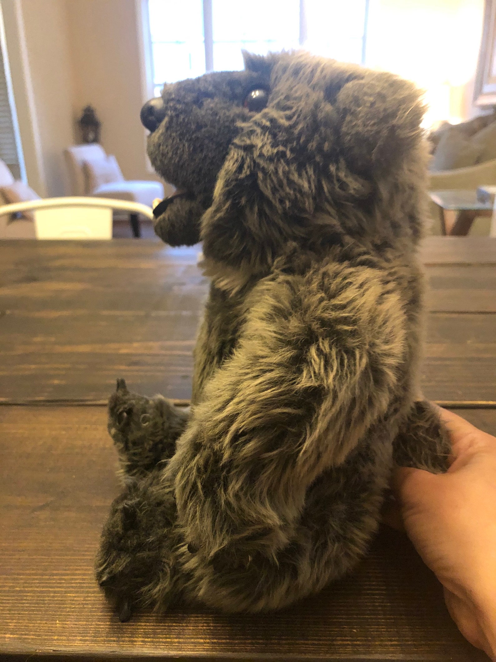 Discovery Channel plush Grizzly Bear Wild Babies Kody cub | Etsy