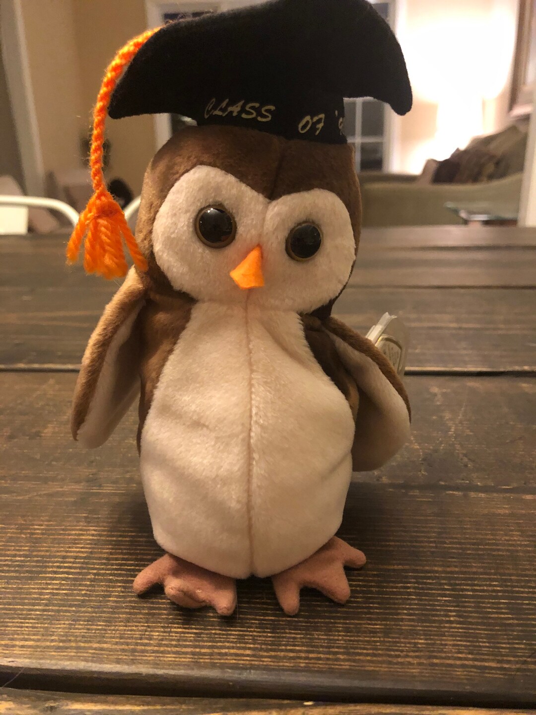 Vintage Wise 1998 Graduation Beanie Baby Owl Plush Stuffed Animal - Etsy