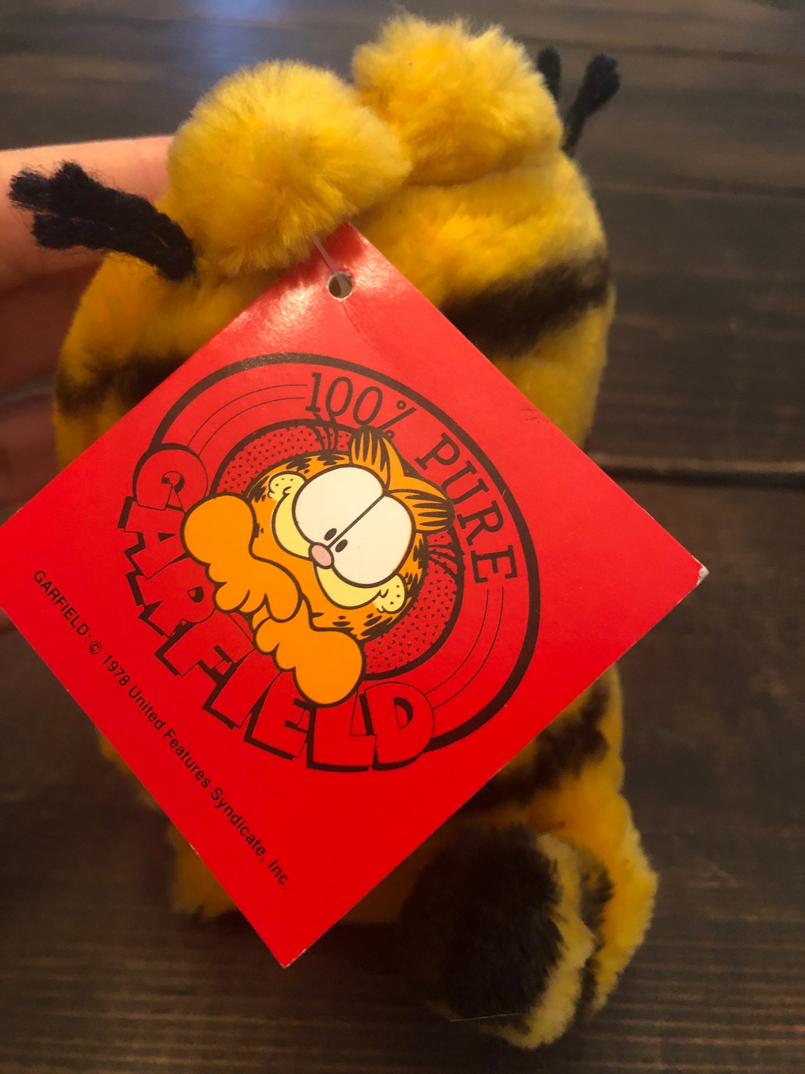 Vintage 1981 Dakin Garfield Greeting Have You Been Naughty or Nice ...