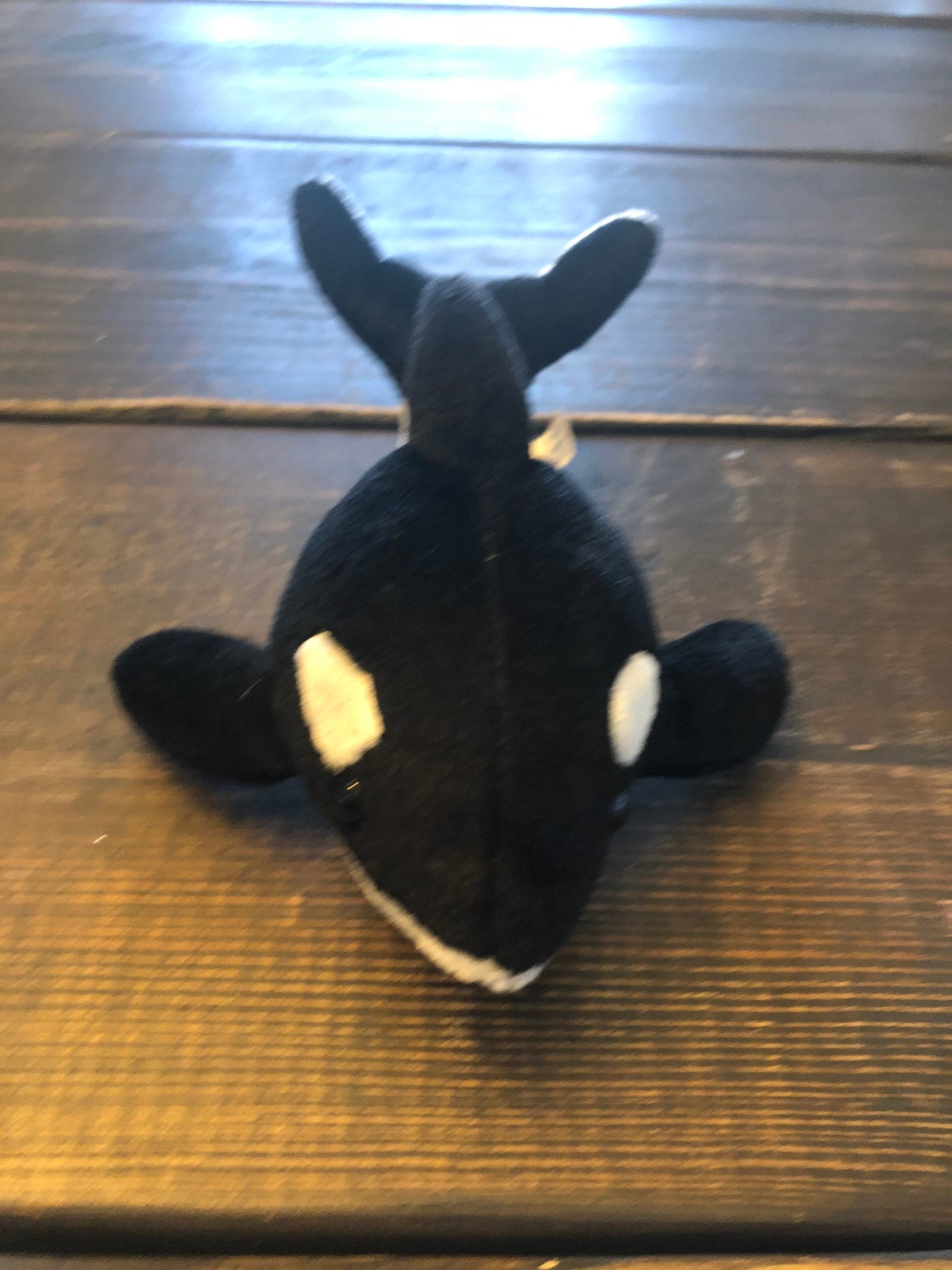 Sea World Shamu Killer Whale Plush | Etsy