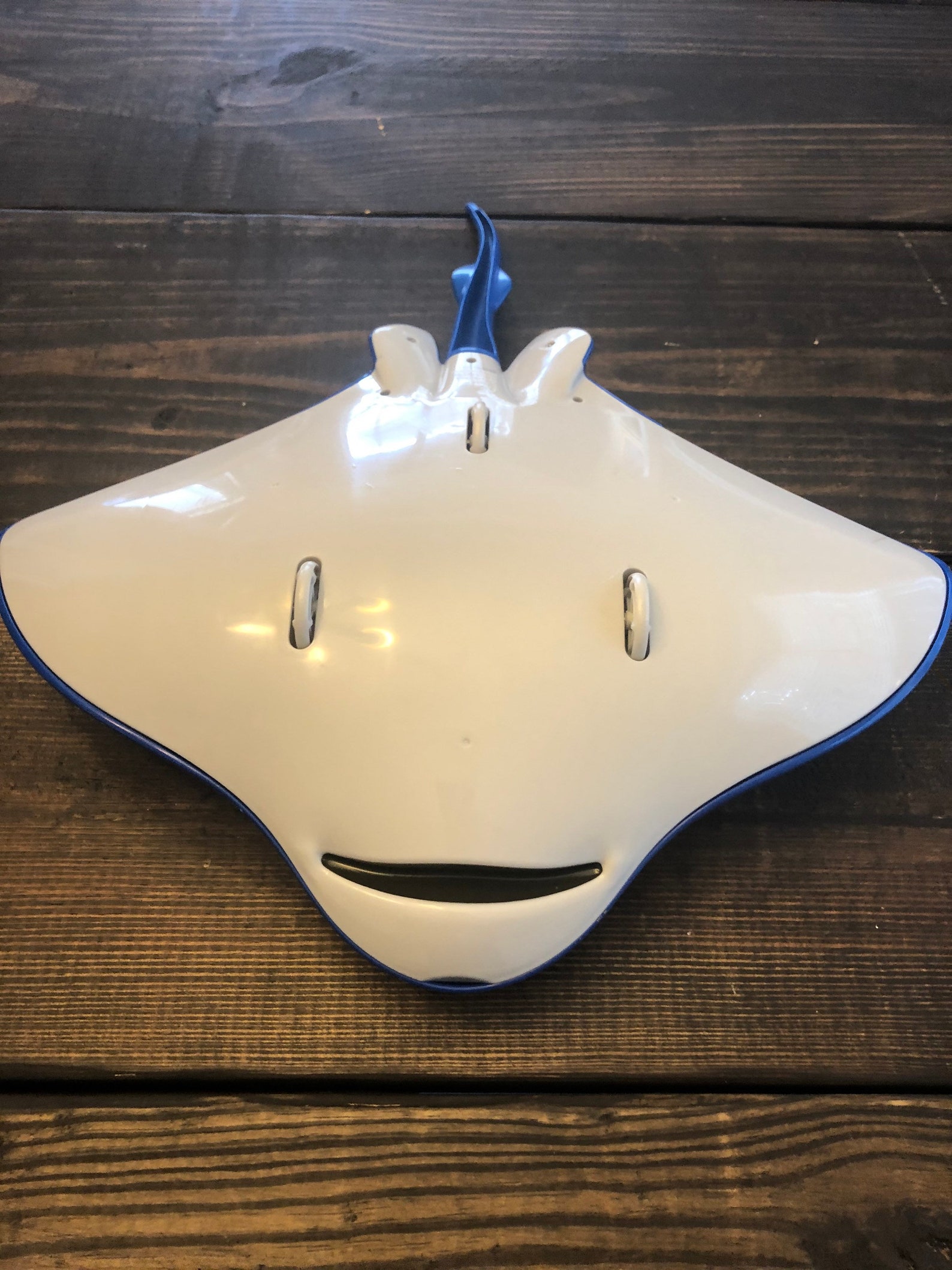 Disney Pixar Bandai Finding Dory Mr. Ray Nemoss Teacher | Etsy