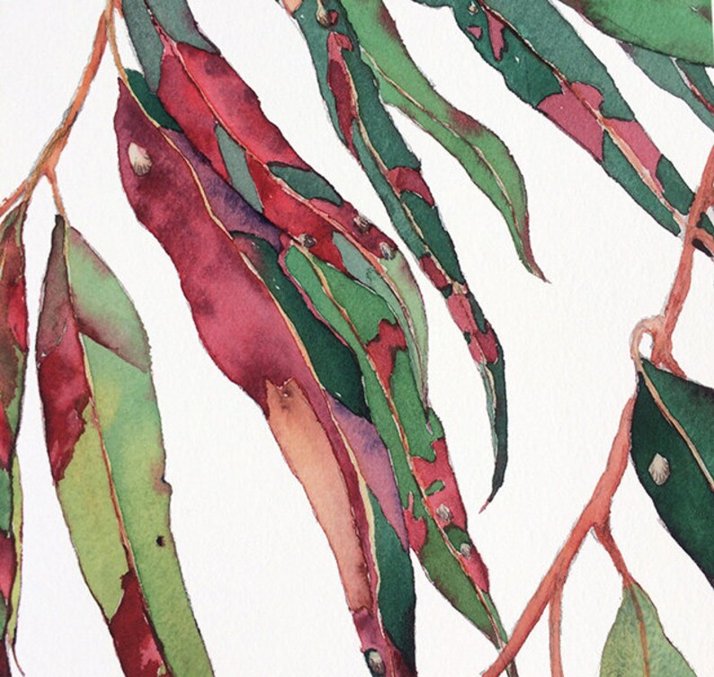 Gum Tree Print A5 10x8 A4 14x11 A3 Botanical Watercolour | Etsy
