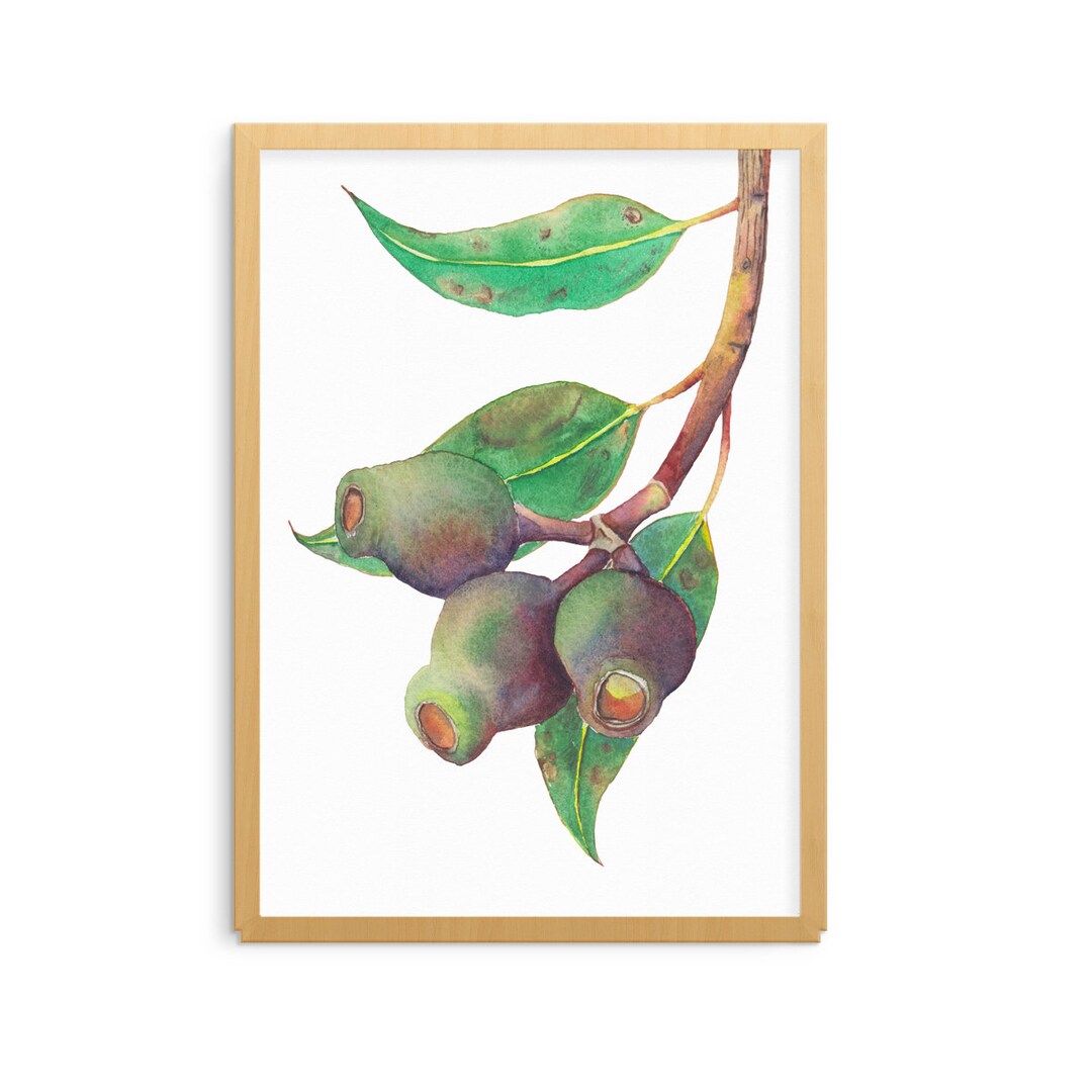 Gum Tree Branch Print A5, 10x8, A4 Australian Nature Wall Decor ...