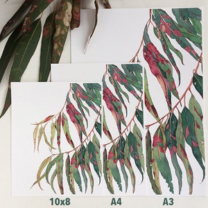 Gum Tree Print A5, 10x8, A4, 14x11, A3 Botanical Watercolour Wall Art ...