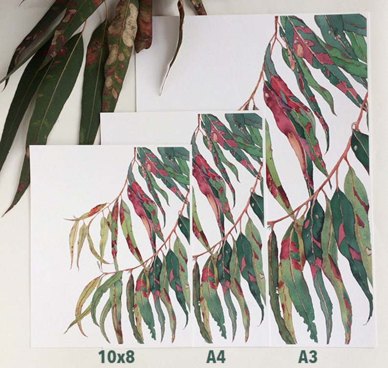 Gum tree print A5 10x8 A4 14x11 A3 botanical watercolour | Etsy