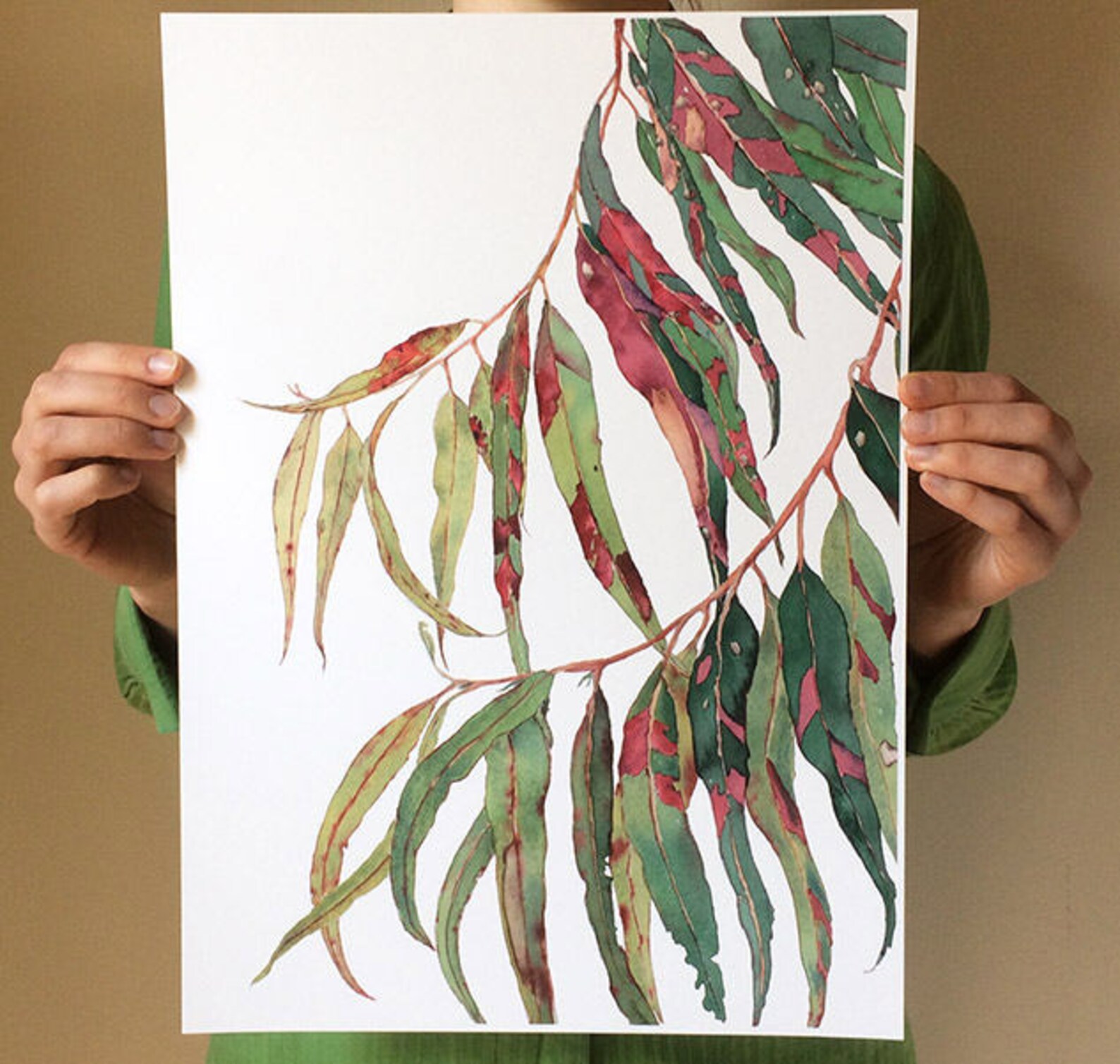 Gum tree print A5 10x8 A4 14x11 A3 botanical watercolour | Etsy